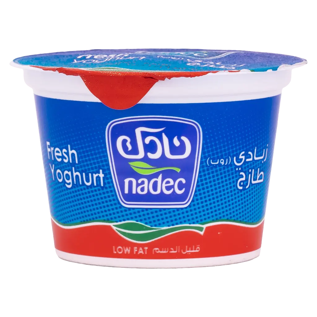 Buy Nadec Fresh Yoghurt Low Fat 170 gm | Ninja Saudi Arabia