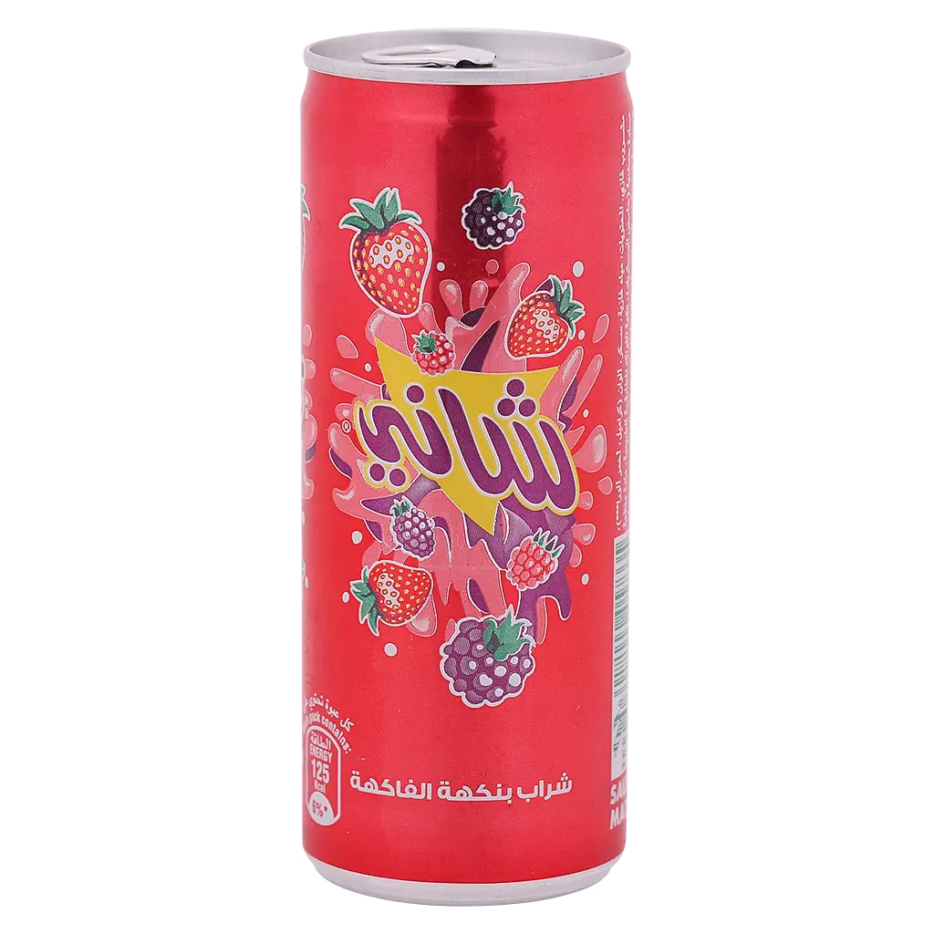 Buy Shani Soft Drink 240 ml | Ninja Saudi Arabia