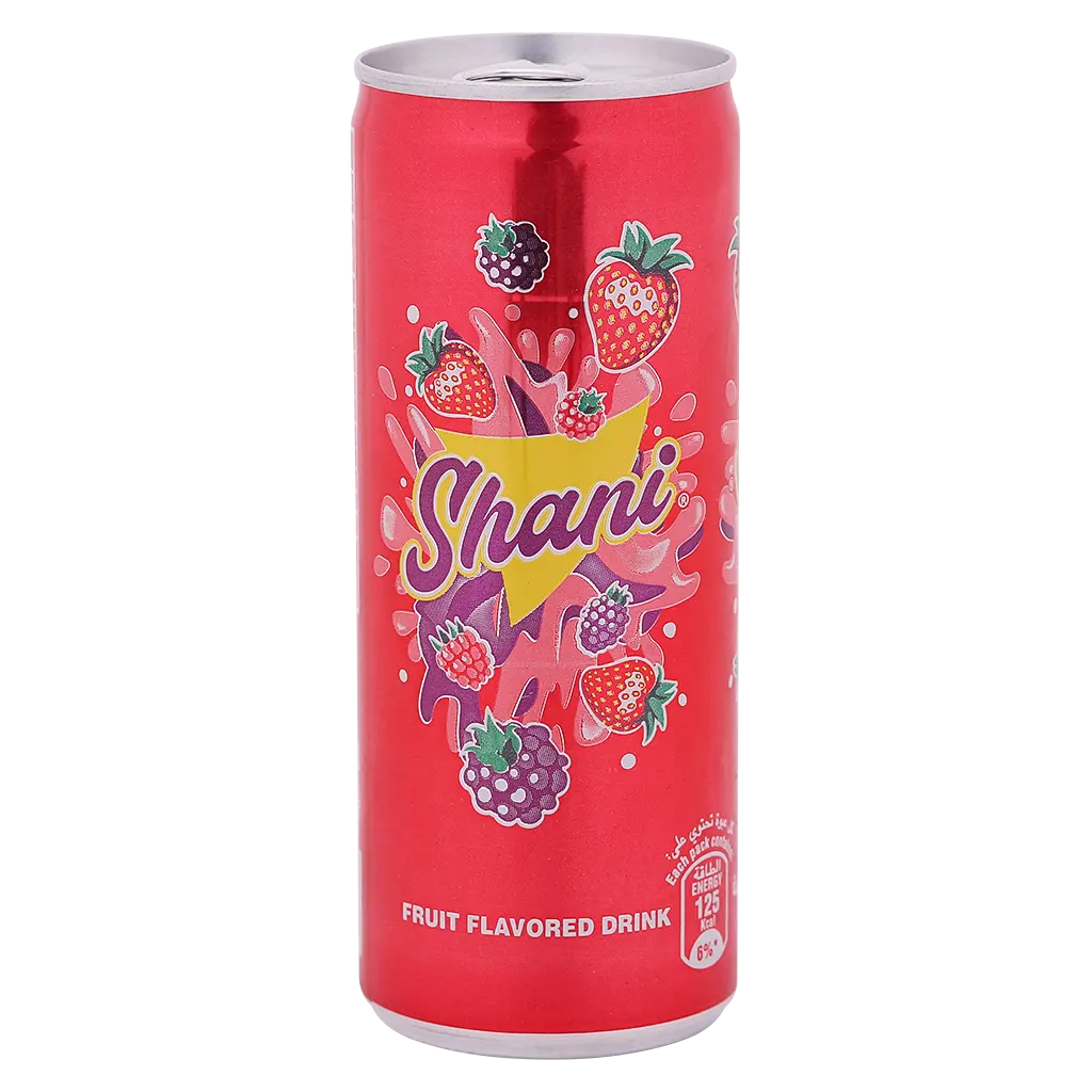 Buy Shani Soft Drink 240 ml | Ninja Saudi Arabia