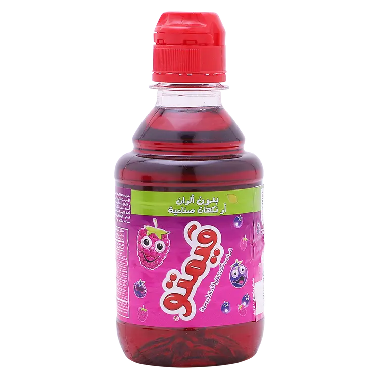 Buy VIMTO FRUIT DRINK PET 250ml | Ninja Saudi Arabia