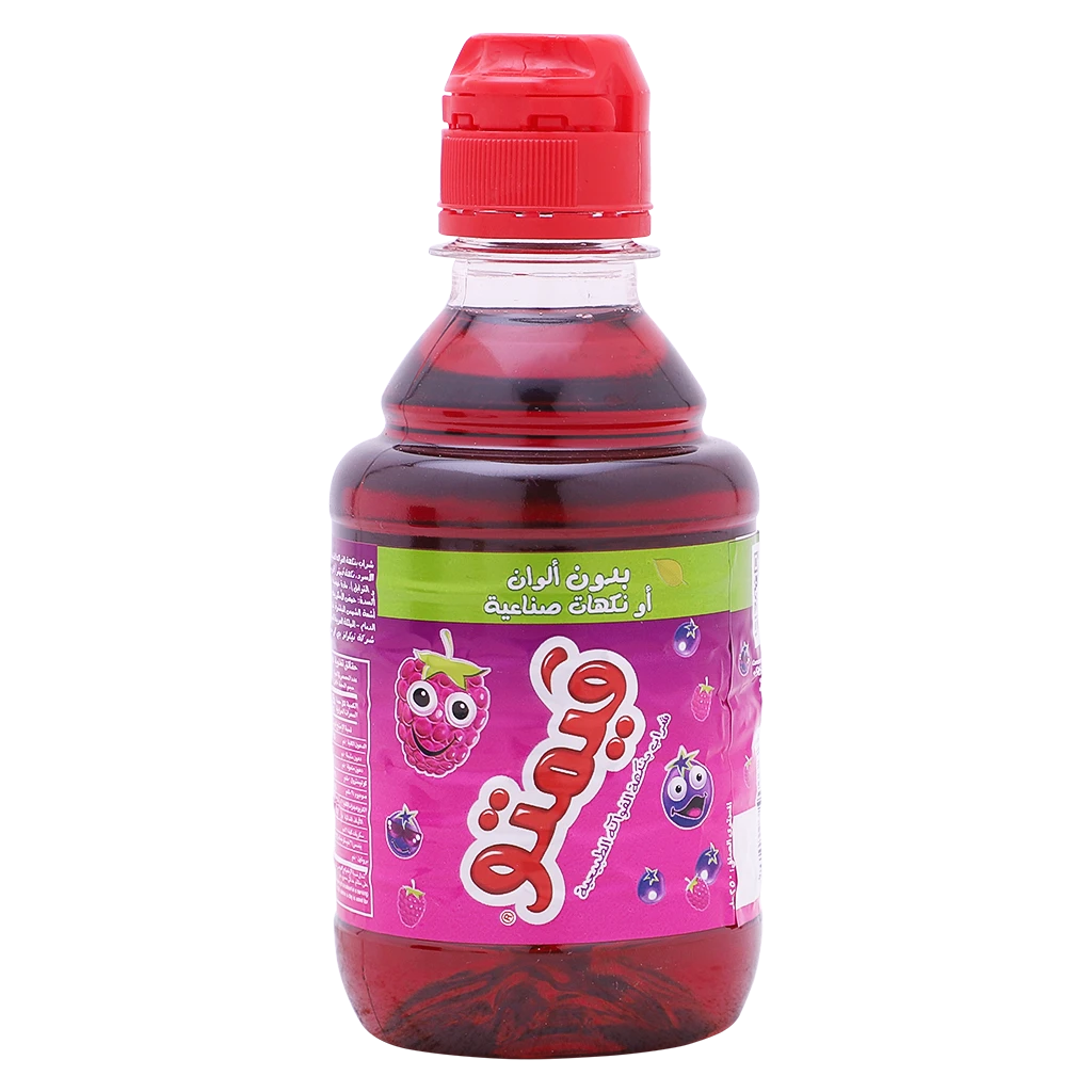 Buy VIMTO FRUIT DRINK PET 250ml | Ninja Saudi Arabia