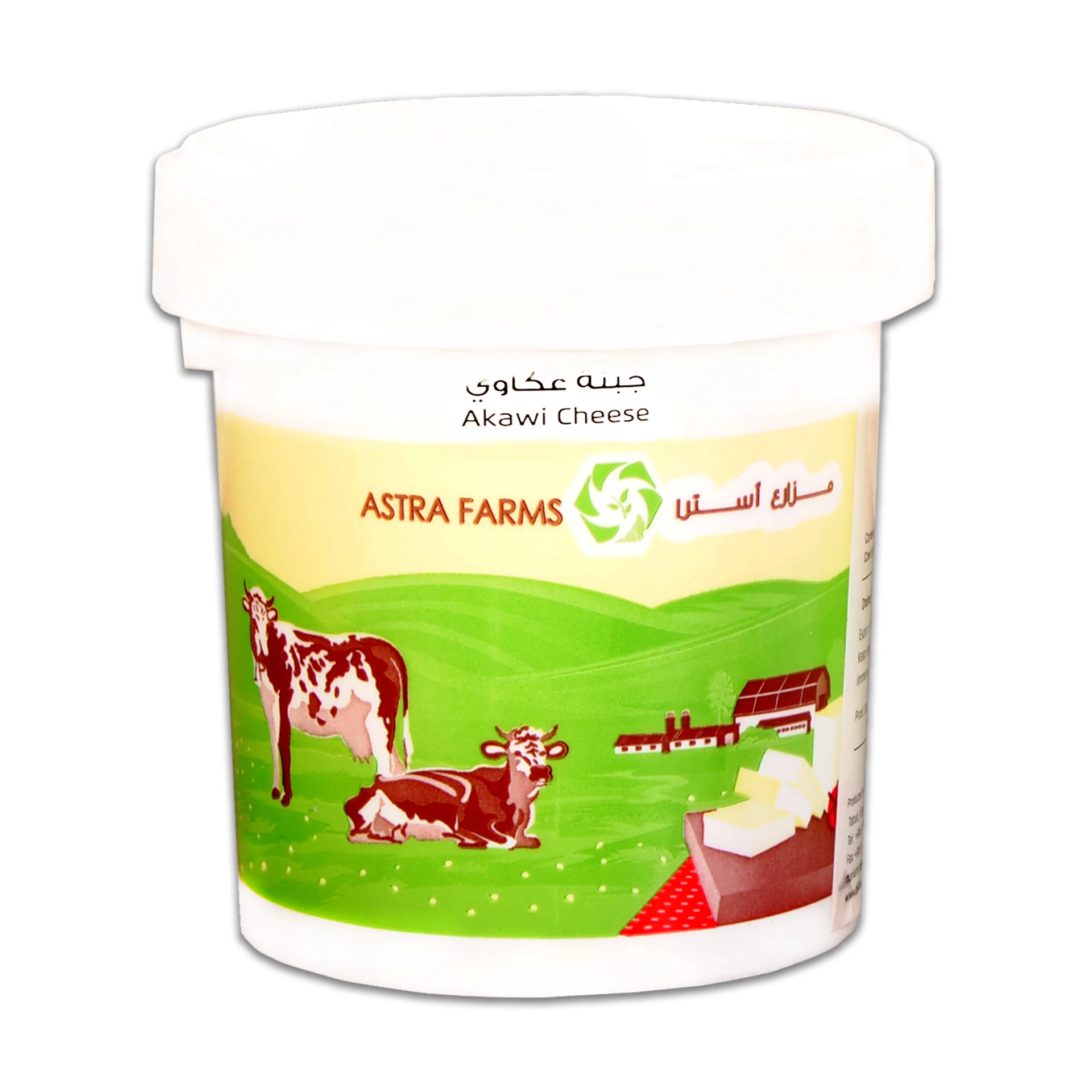 Buy Astra Akawi Cheese 500 gm | Ninja Saudi Arabia